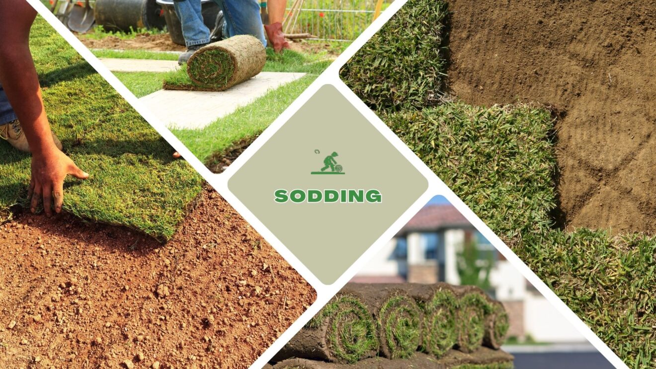 Sodding - MPR Landscapes